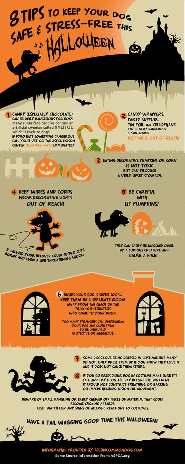 8 Tips To Keep Your Dog Safe This Halloween Miss Molly Says 8-tips-to-keep-your-dog-safe-this-halloween-miss-molly-says