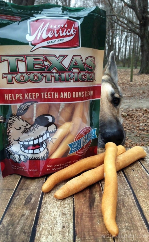 Merrick Texas Toothpicks: Now That's a Toothpick! - Miss Molly Says