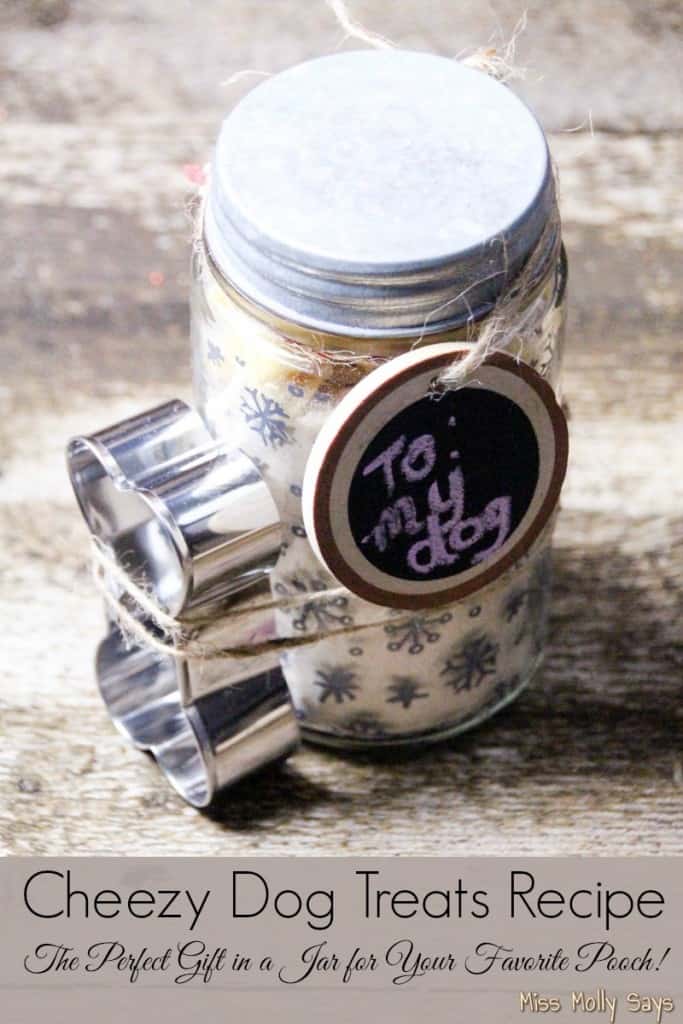 Cheezy Dog Treats Recipe: The Perfect Gift in a Jar for Your Favorite ...