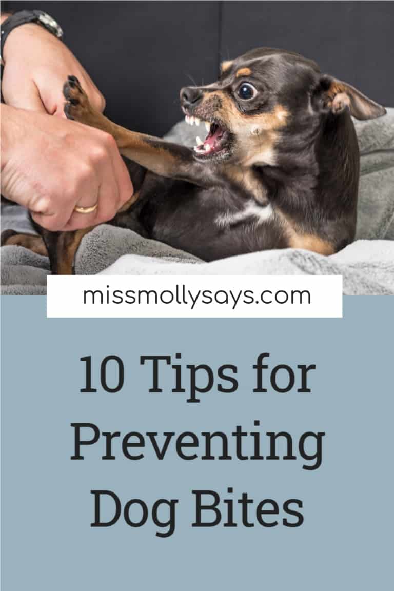 10 Tips for Preventing Dog Bites - Miss Molly Says