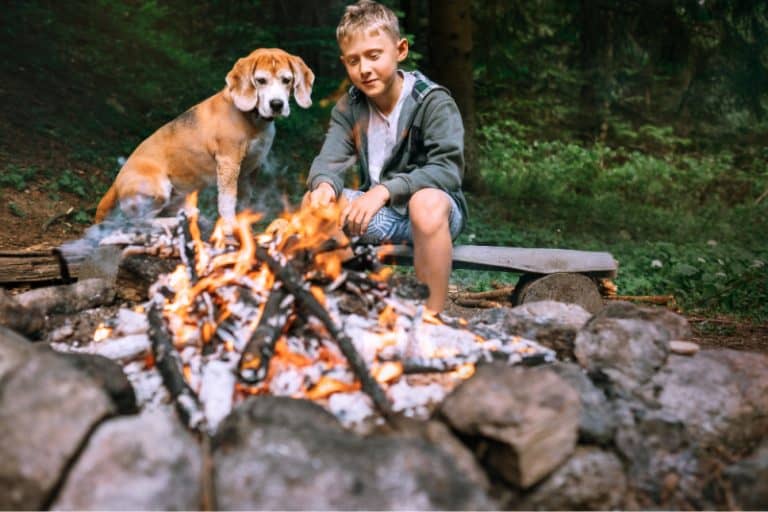 How to Have a Nice Camping Trip with Your Dog - Miss Molly Says