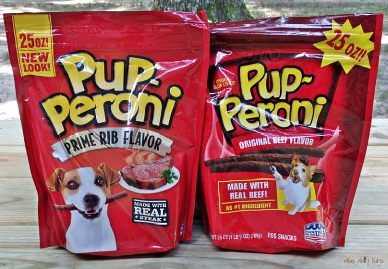 #BeefUpYourSummer with Pup-Peroni Dog Treats and Fun Active Games ...