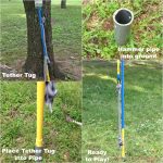 Tether Tug Dog Toy for Endless Hours of Play and Exercise! - Miss Molly ...