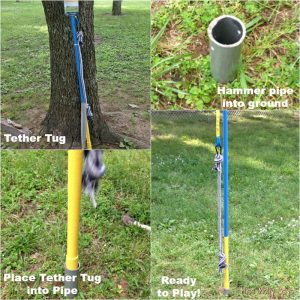 Tether Tug Dog Toy for Endless Hours of Play and Exercise! - Miss Molly ...