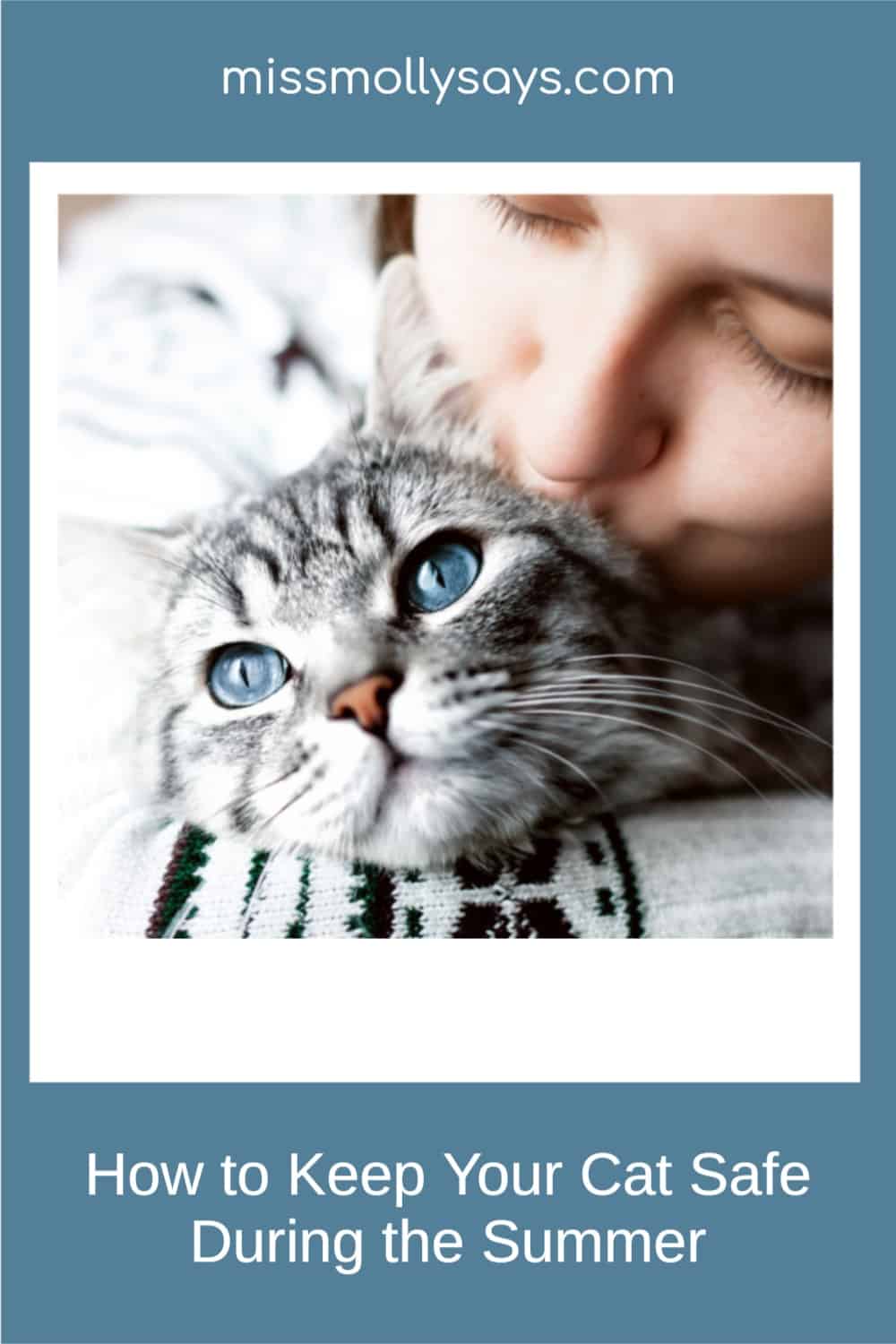 How to Keep Your Cat Safe During the Summer - Miss Molly Says