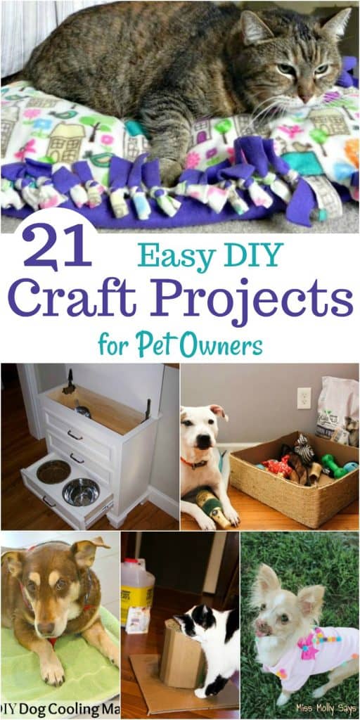 21 Easy DIY Craft Projects for Pet Owners! - Miss Molly Says