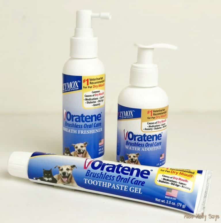 Protect Your Pet's Dental Health with Oratene Brushless Oral Care