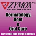 Provide Soothing Allergy Relief for Your Dog with the Help of Zymox