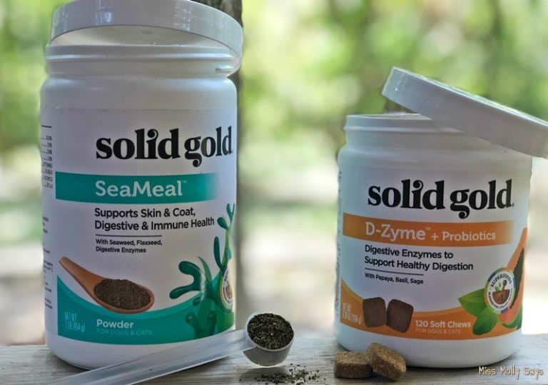 Solid Gold Holistic Pet Nutrition Keeps Your Pet Healthy & Happy