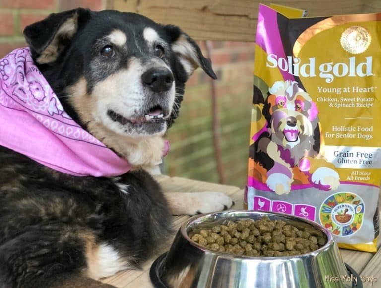 Solid Gold Holistic Pet Nutrition Keeps Your Pet Healthy & Happy