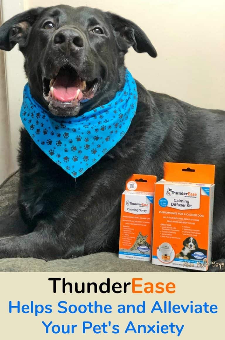 ThunderEase Helps Soothe and Alleviate Your Pet's Anxiety # ...