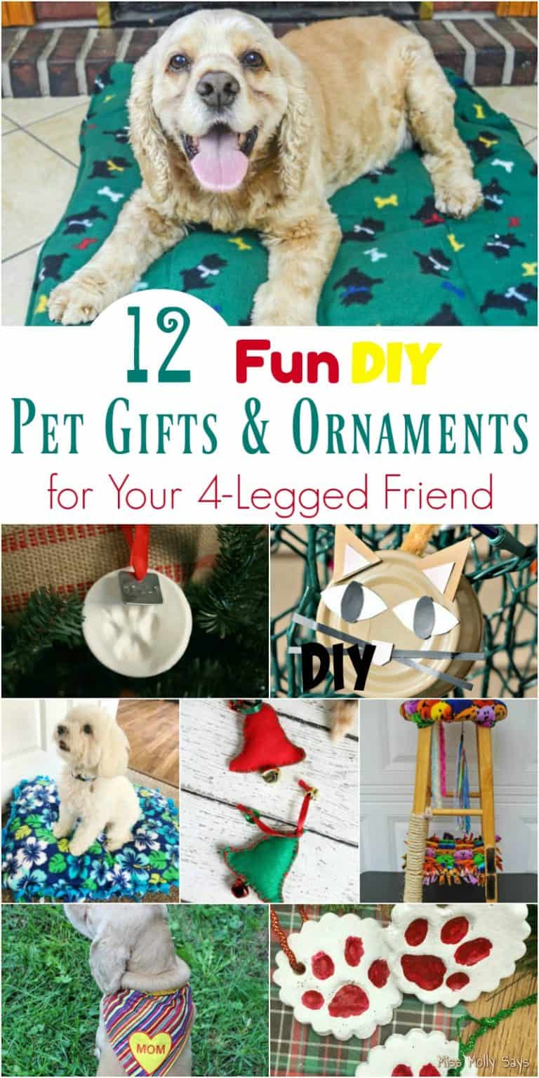 12 Fun DIY Pet Gifts & Ornaments for Your 4-Legged Friend