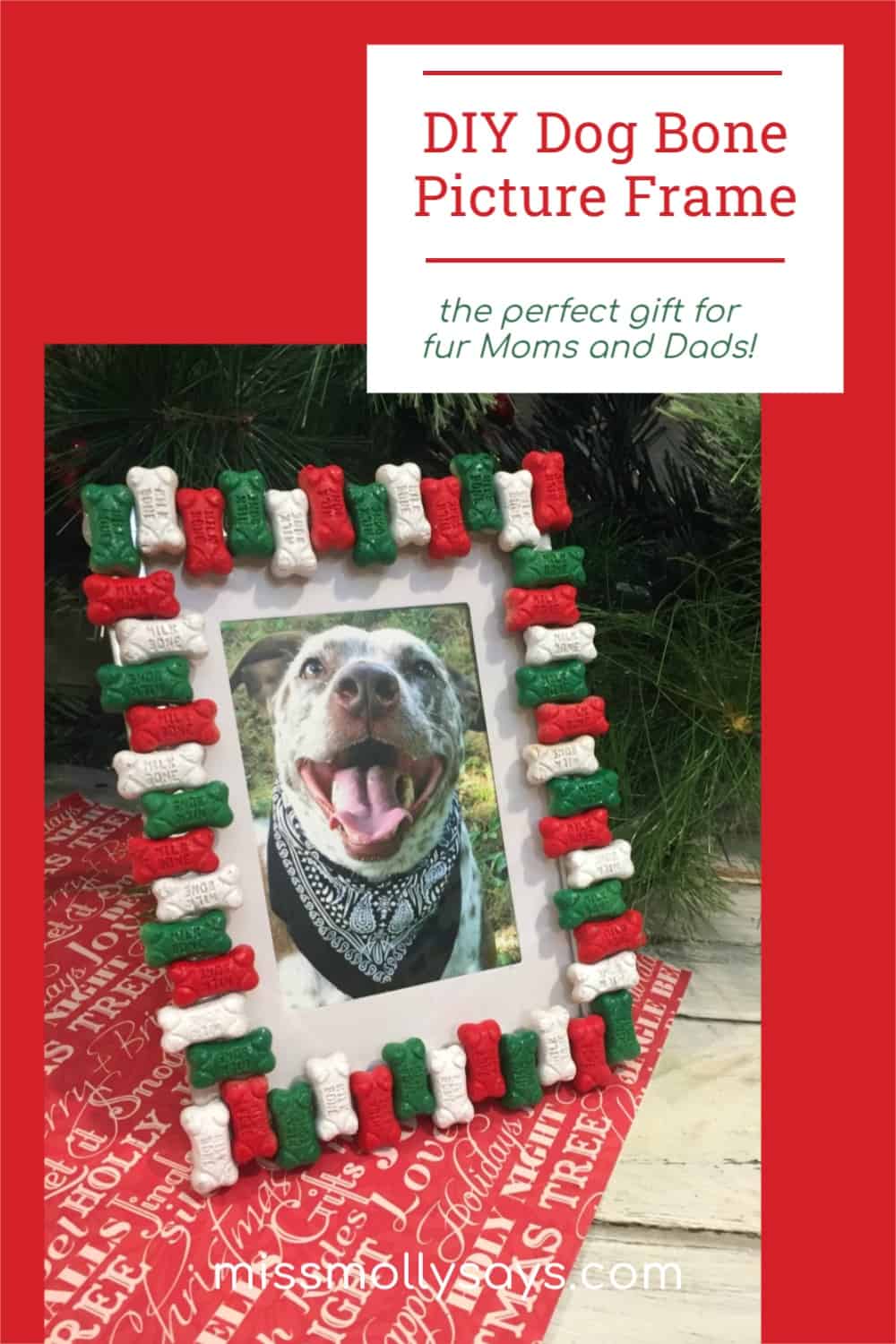DIY Dog Bone Picture Frame- Perfect Christmas Gift for Pet Lovers