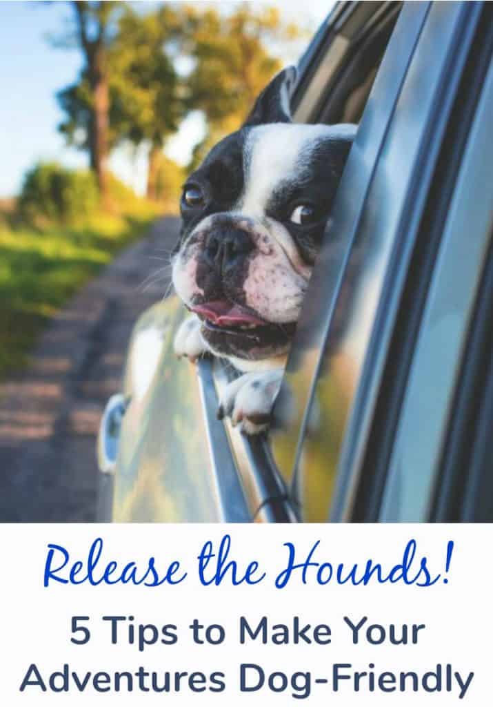 Release the Hounds! 5 Tips to Make Your Adventures Dog-Friendly