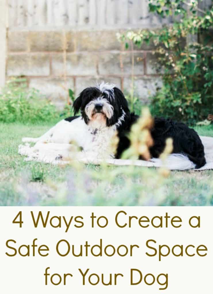 4 Ways to Create a Safe Outdoor Space for Your Dog