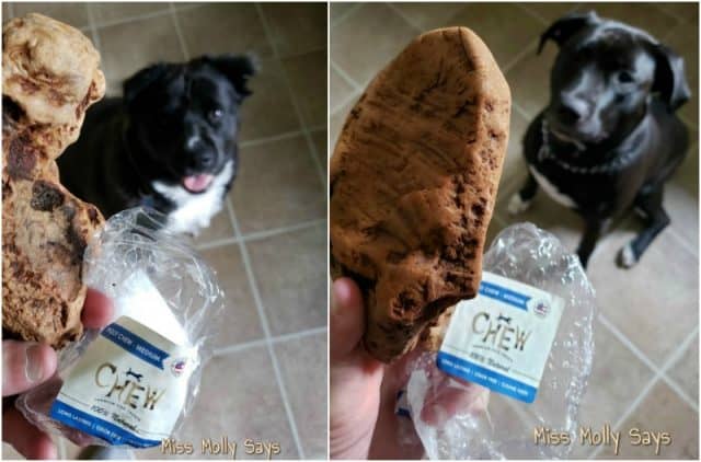 Keeping Your Aggressive Chewers Busy with Root Chews - Miss Molly Says