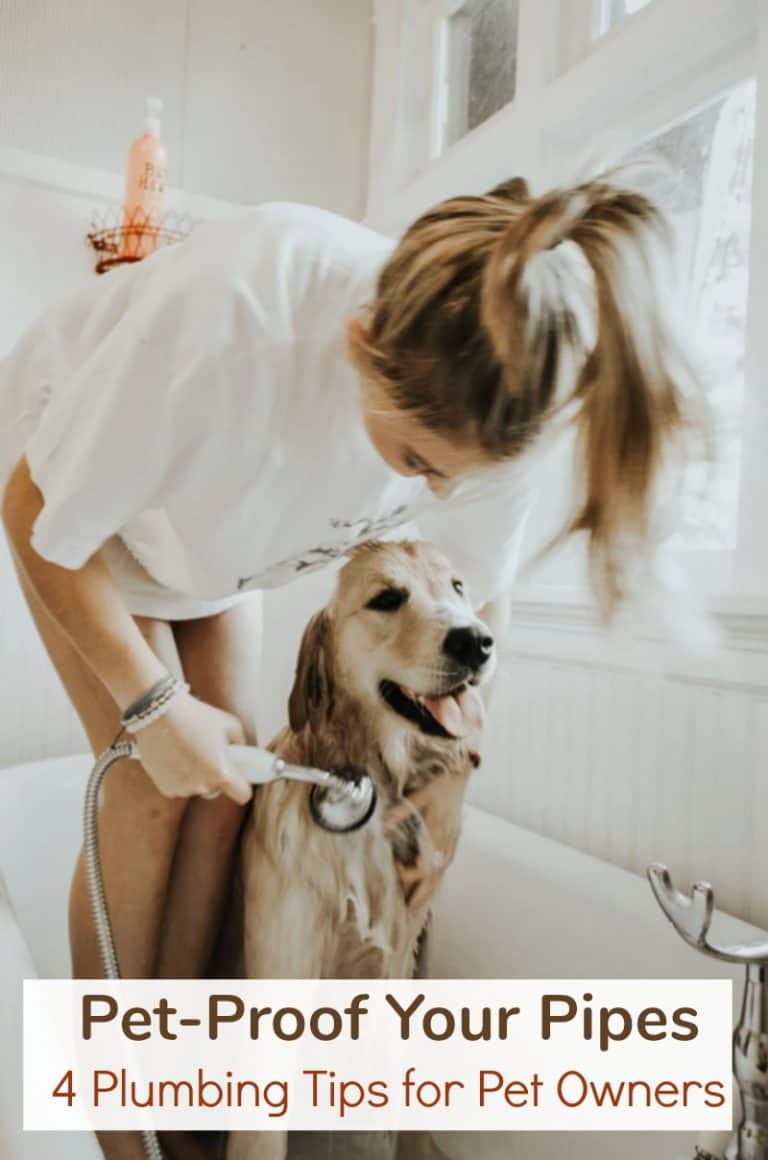 Pet-Proof Your Pipes: 4 Plumbing Tips for Pet Owners - Miss Molly Says