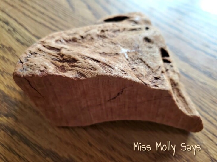 Keeping Your Aggressive Chewers Busy with Root Chews - Miss Molly Says
