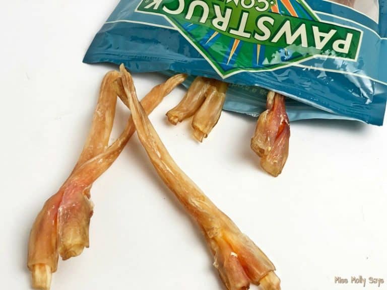 The Best All-Natural Dog Chews from Pawstruck! - Miss Molly Says