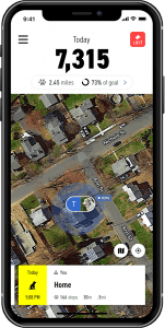 Protect Your Dog with a GPS Dog Tracker & Activity Monitor from Fi ...