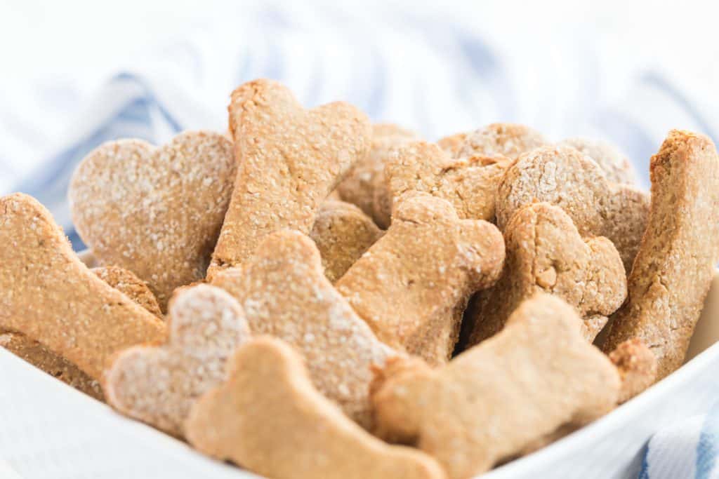 25+ of the TASTIEST Christmas Dog Treats for all Good Pups - Miss Molly ...