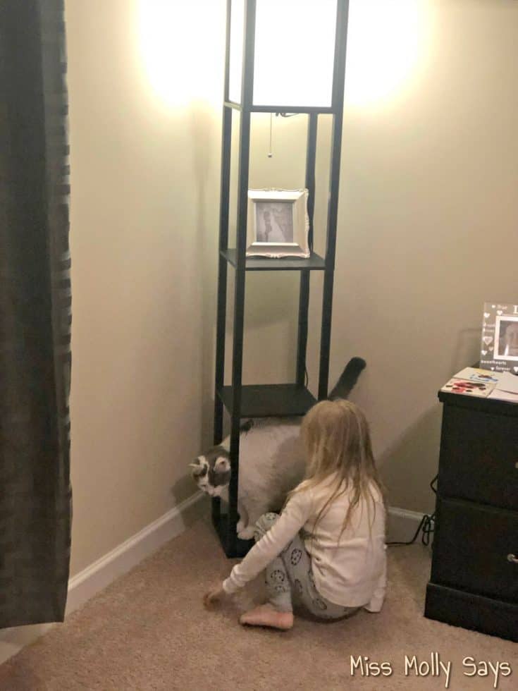 Brightech Maxwell LED Shelf Floor Lamp Sturdy Enough With Animals and ...