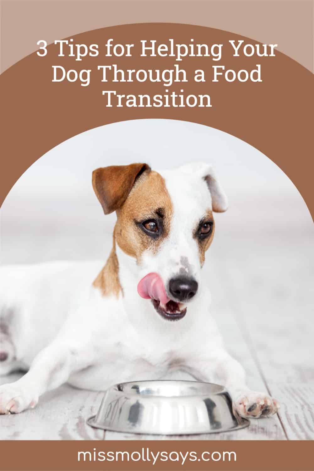 3 Tips for Helping Your Dog Through a Food Transition - Miss Molly Says