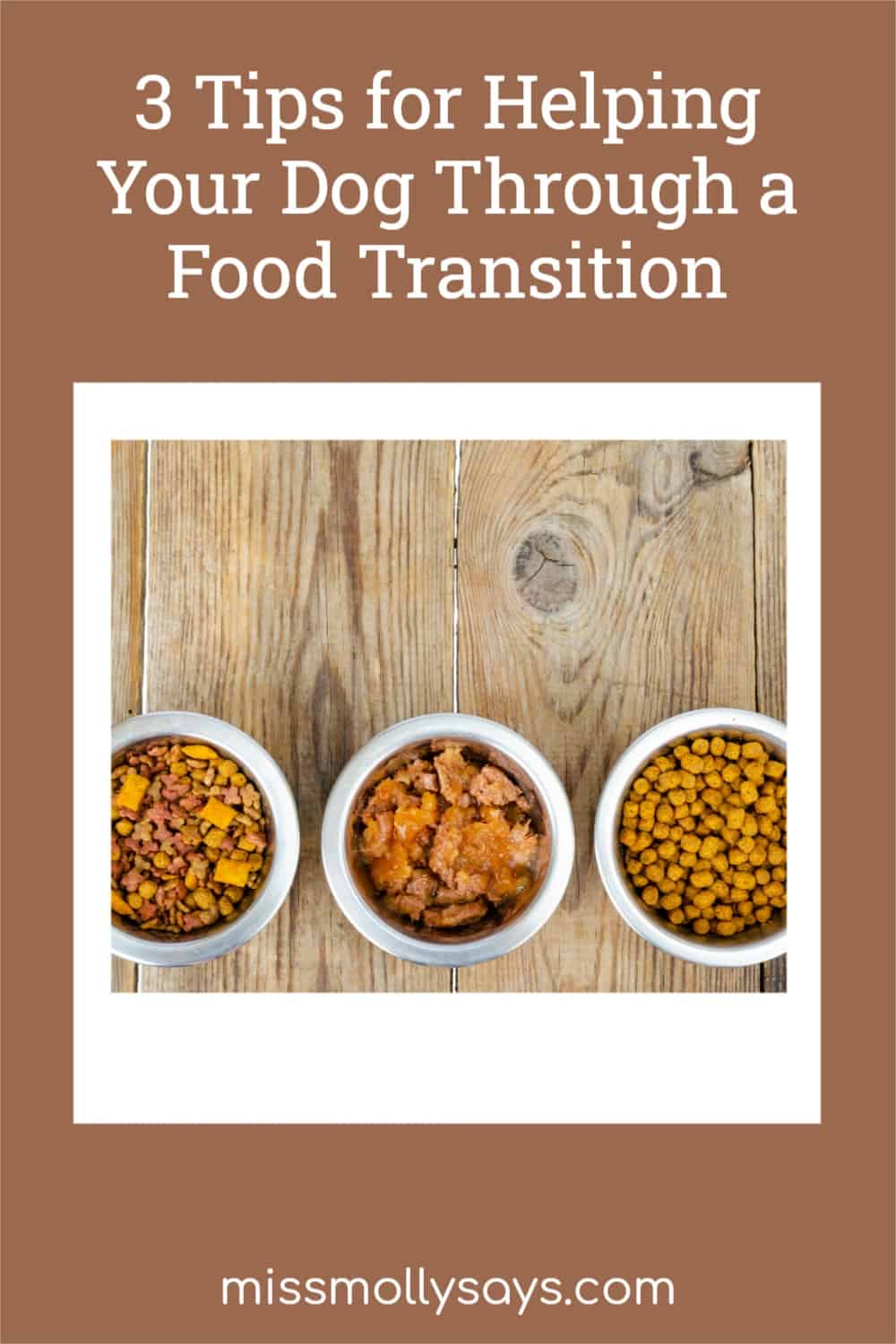 3 Tips for Helping Your Dog Through a Food Transition - Miss Molly Says