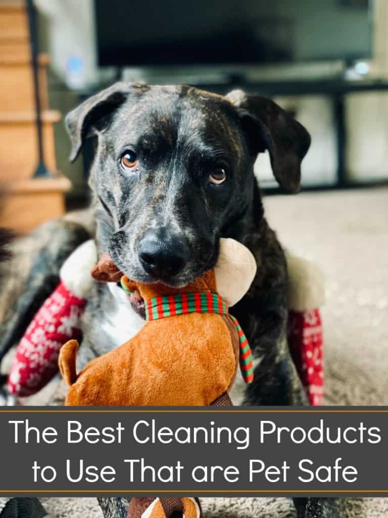 The Best Cleaning Products to Use That are Pet Safe