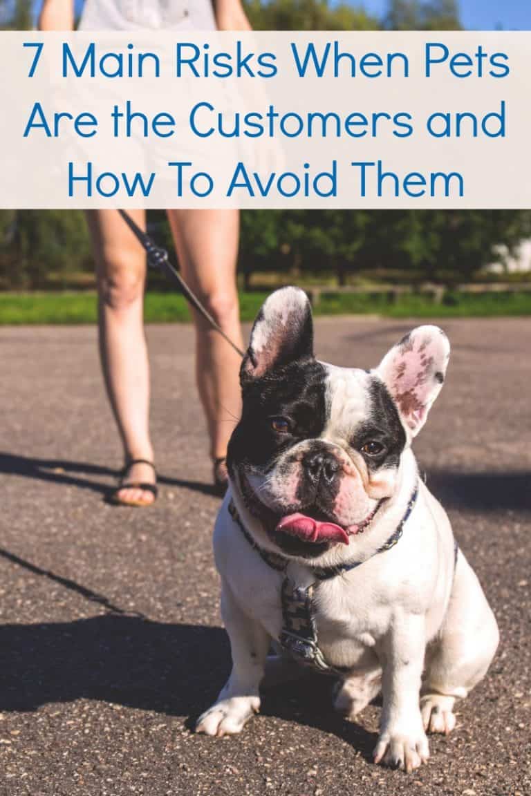 7 Main Risks When Pets Are the Customers and How To Avoid Them - Miss ...
