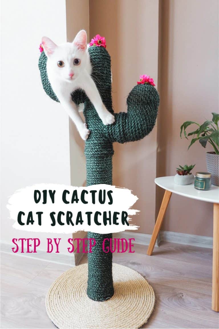 DIY Cactus Cat Scratching Post - Miss Molly Says