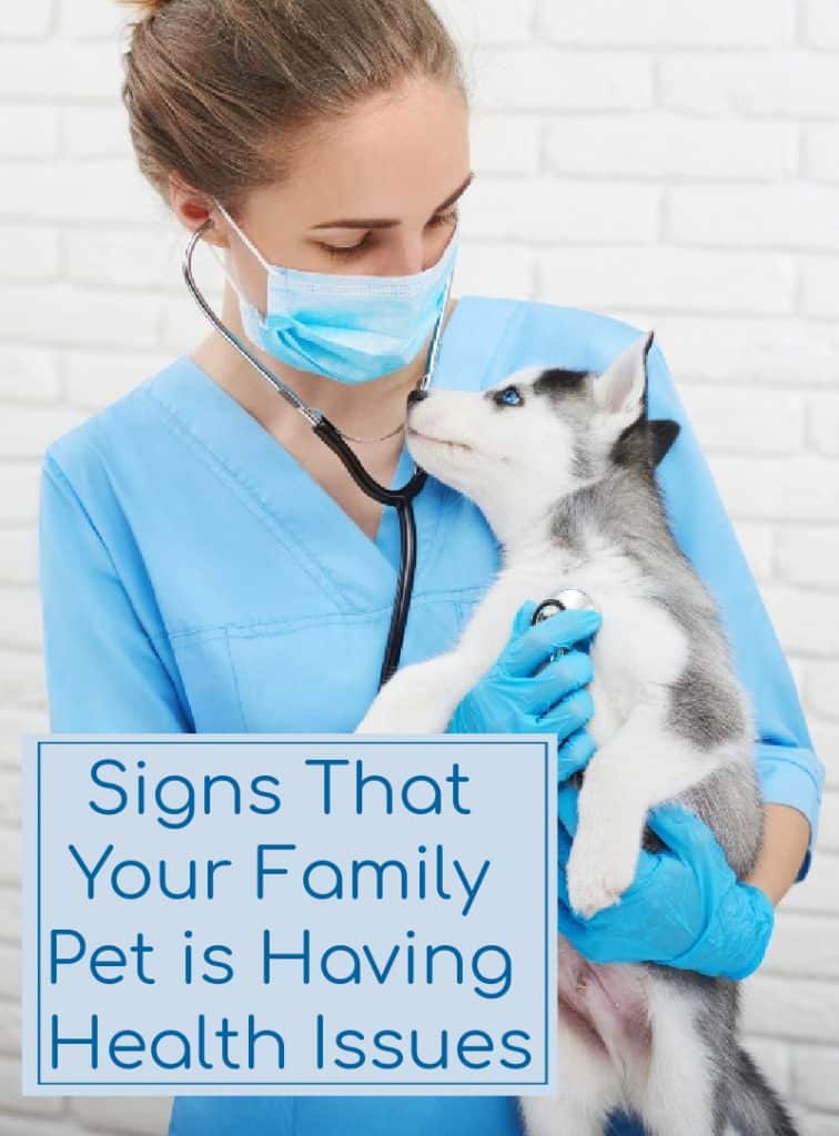 Signs That Your Family Pet is Having Health Issues