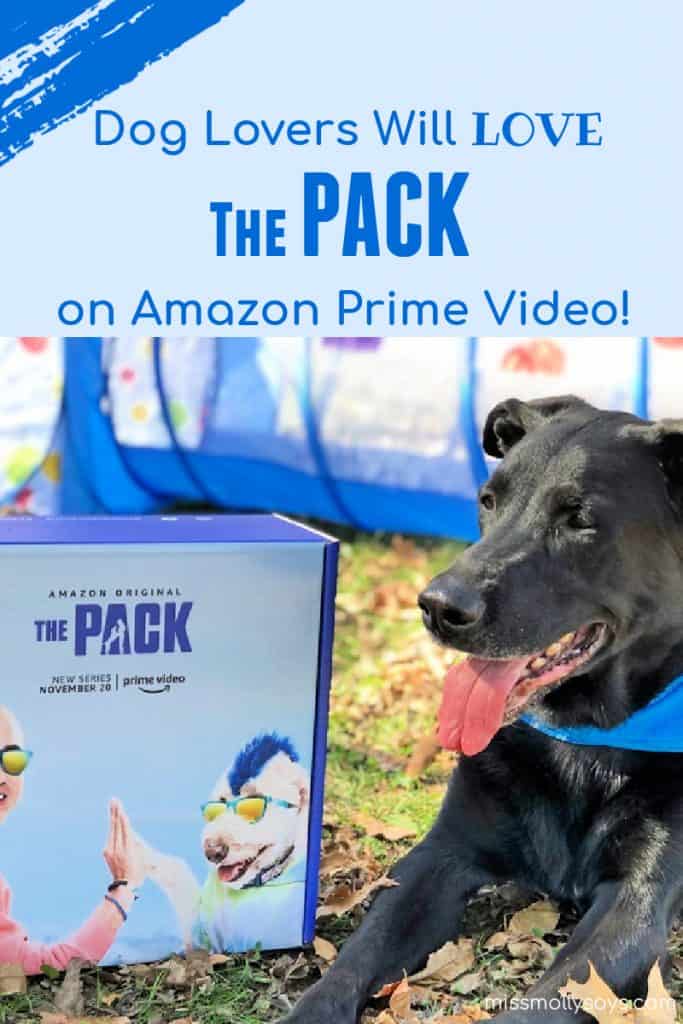 Dog Lovers Will LOVE The PACK on Amazon Prime Video!