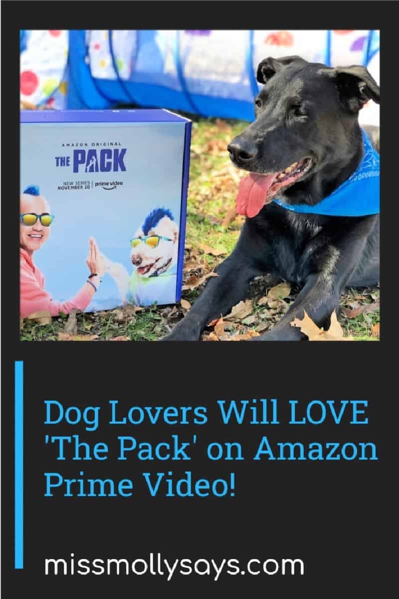 Dog Lovers Will LOVE The PACK on Amazon Prime Video!