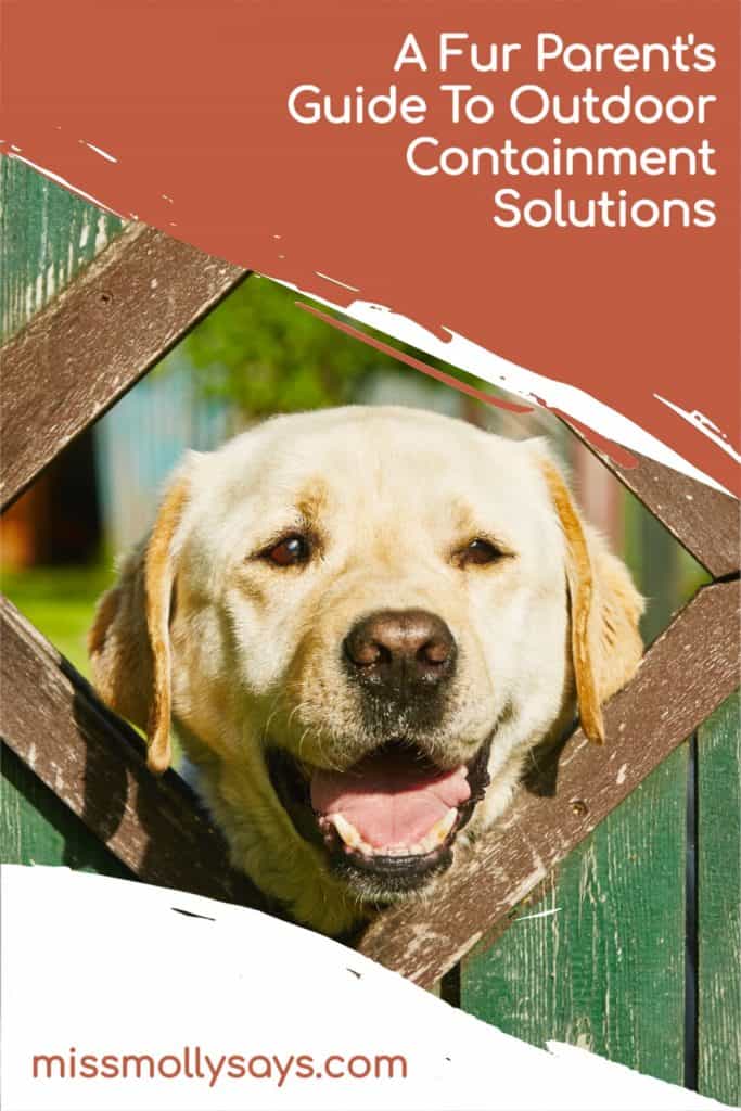 A Fur Parent's Guide To Outdoor Containment Solutions - Miss Molly Says