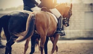 Riding Is Not Just For Kids! 6 Reasons You Can Ride At Any Age - Miss ...