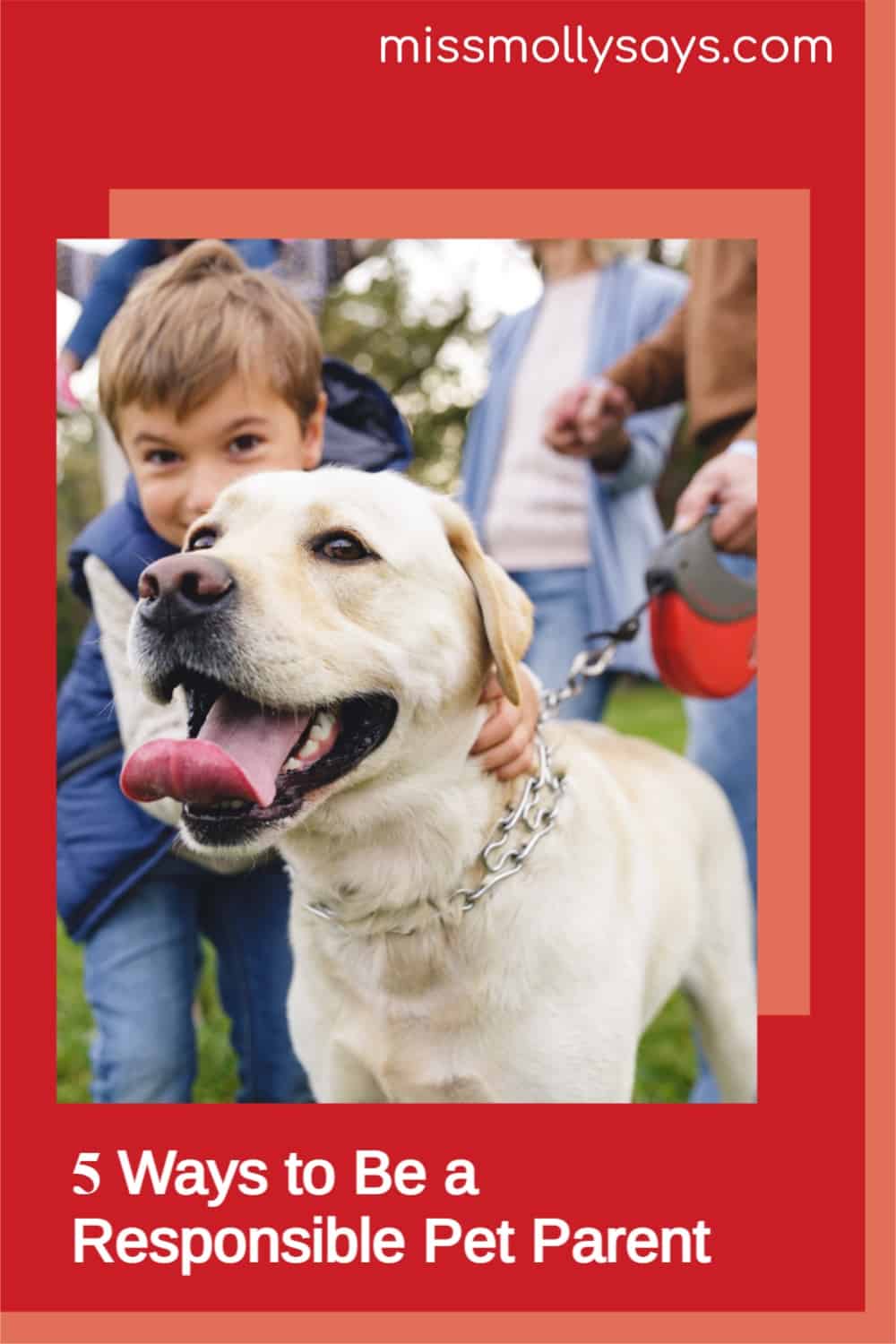 5 Ways to Be a Responsible Pet Parent - Miss Molly Says