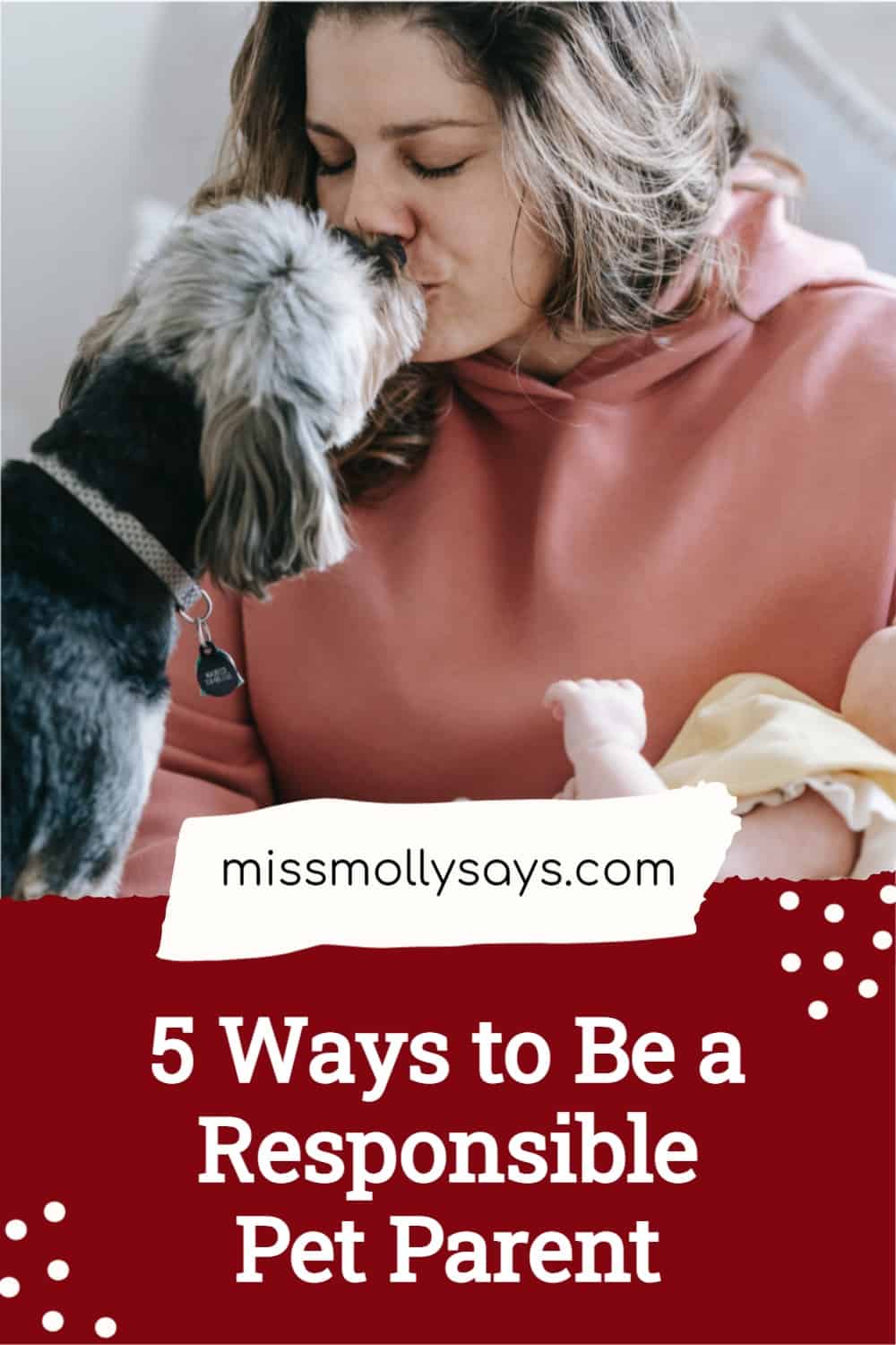 5 Ways to Be a Responsible Pet Parent - Miss Molly Says