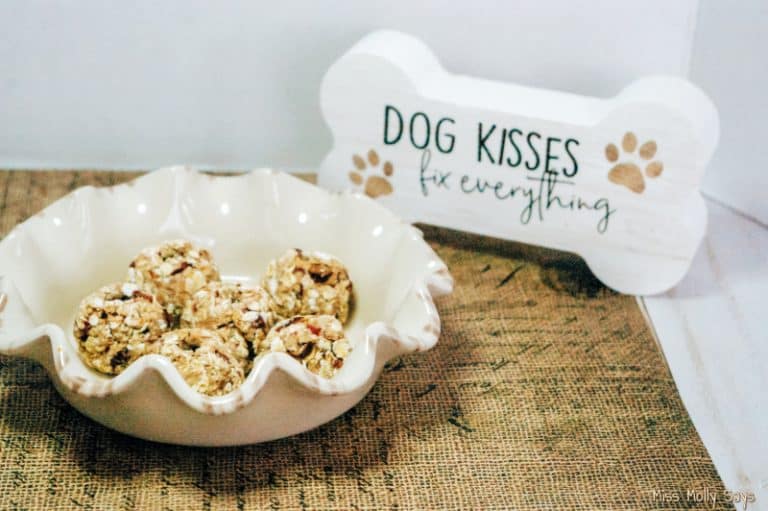 NO-BAKE Soft & Fruity Dog Treats with Apples & Cranberries
