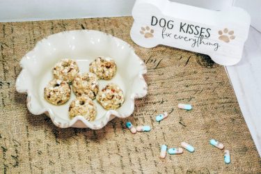 NO-BAKE Soft & Fruity Dog Treats with Apples & Cranberries