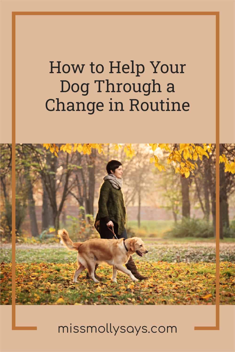 How to Help Your Dog Through a Change in Routine - Miss Molly Says