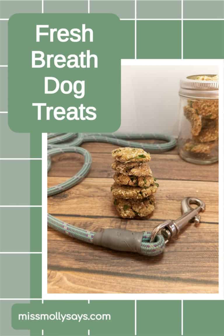Easy Fresh Breath Dog Treats for your Pooch! - Miss Molly Says