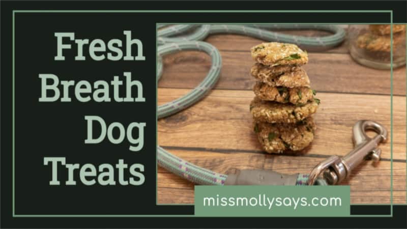 Easy Fresh Breath Dog Treats for your Pooch! - Miss Molly Says