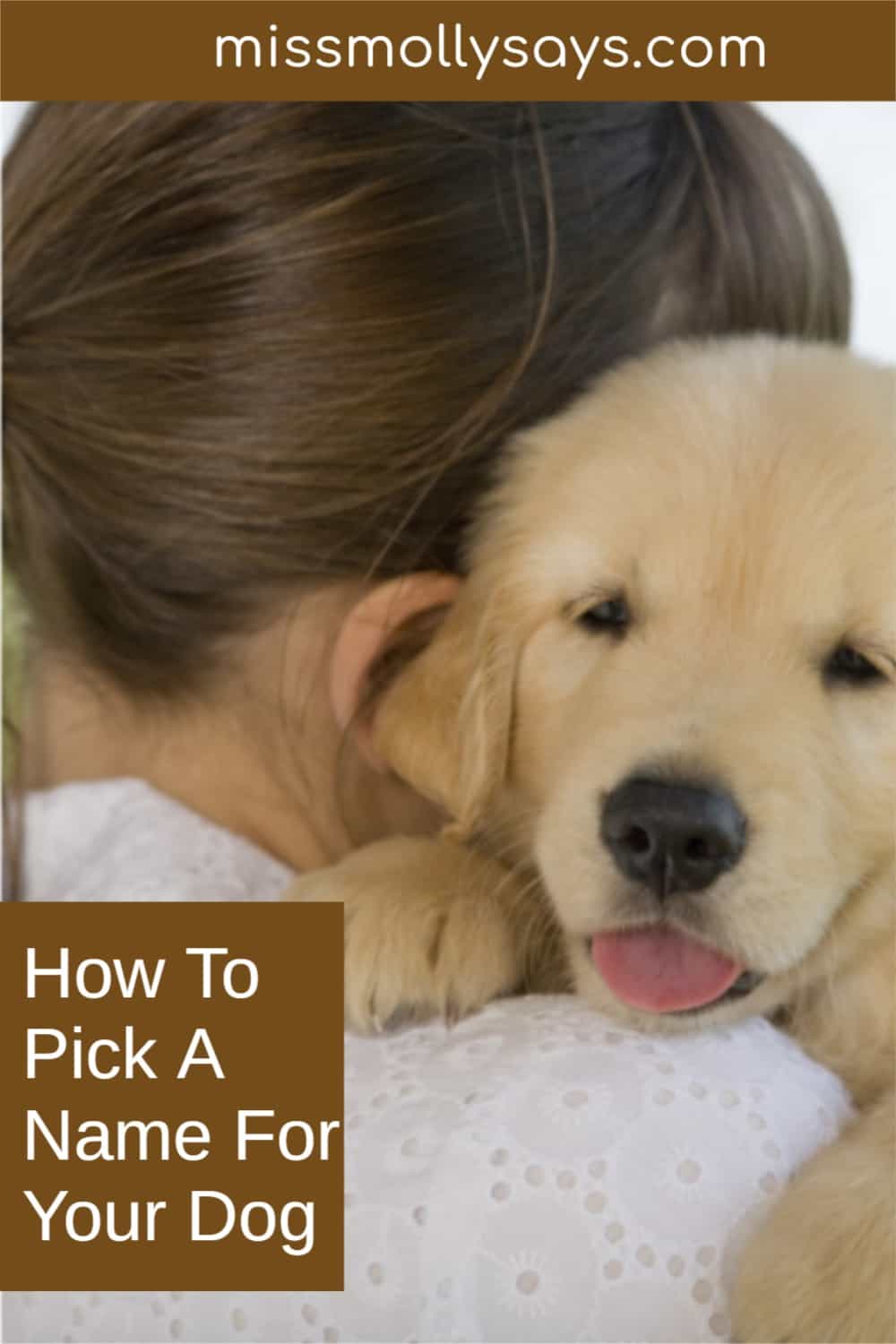 How To Pick A Name For Your Dog - Miss Molly Says