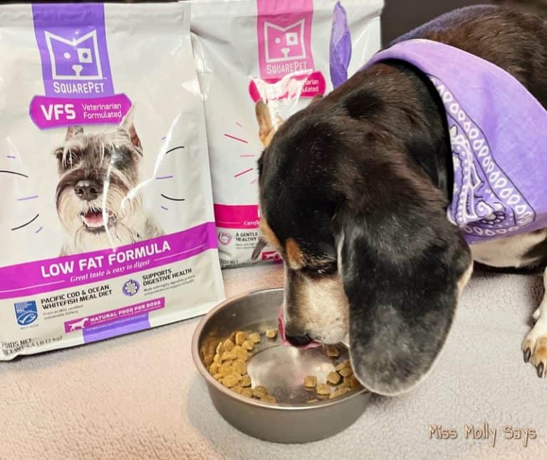 Say I Love You with SquarePet Dog Food & Swedencare Dental Care Bones