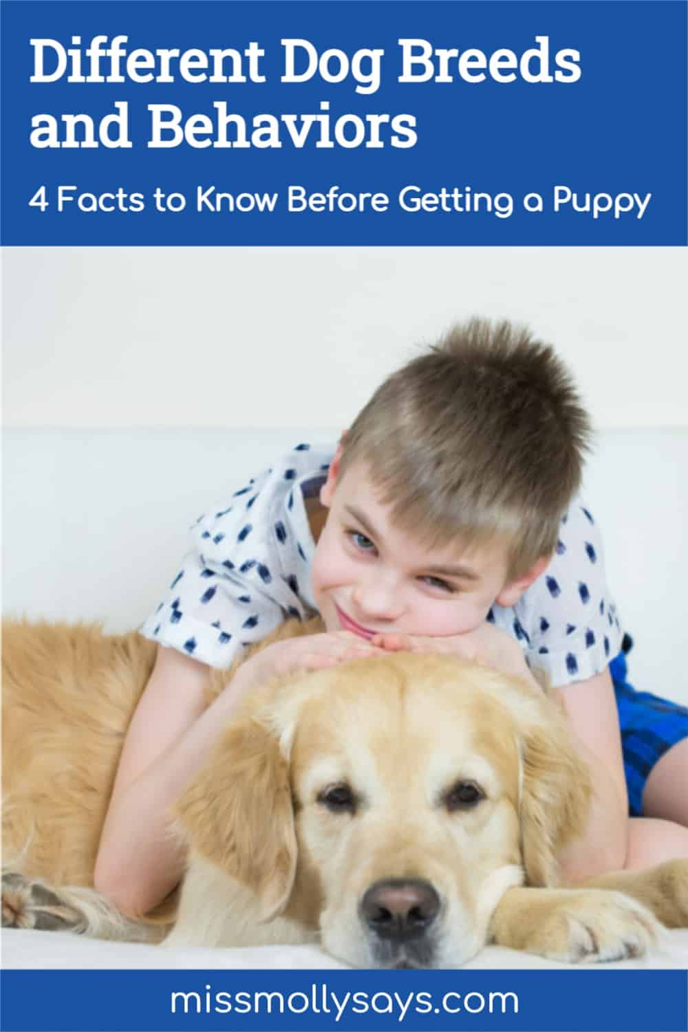 Different Dog Breeds and Behaviors: 6 Facts to Know Before Getting a ...