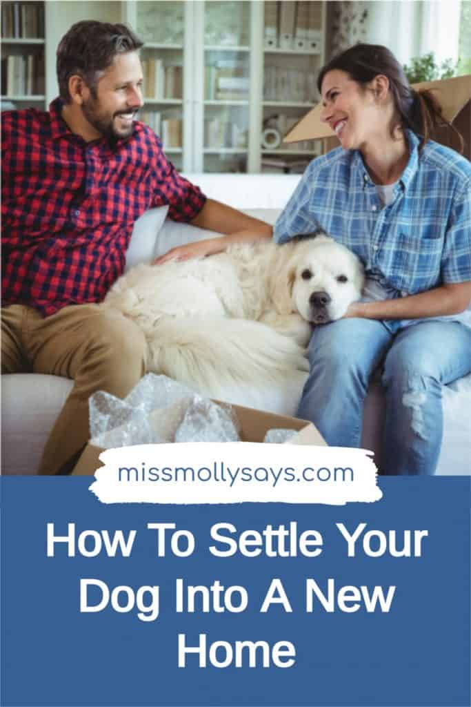 How To Settle Your Dog Into A New Home - Miss Molly Says