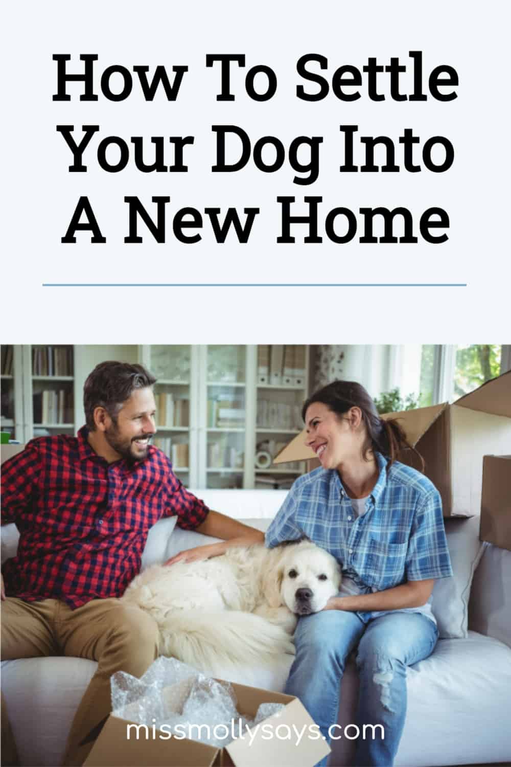 How To Settle Your Dog Into A New Home - Miss Molly Says
