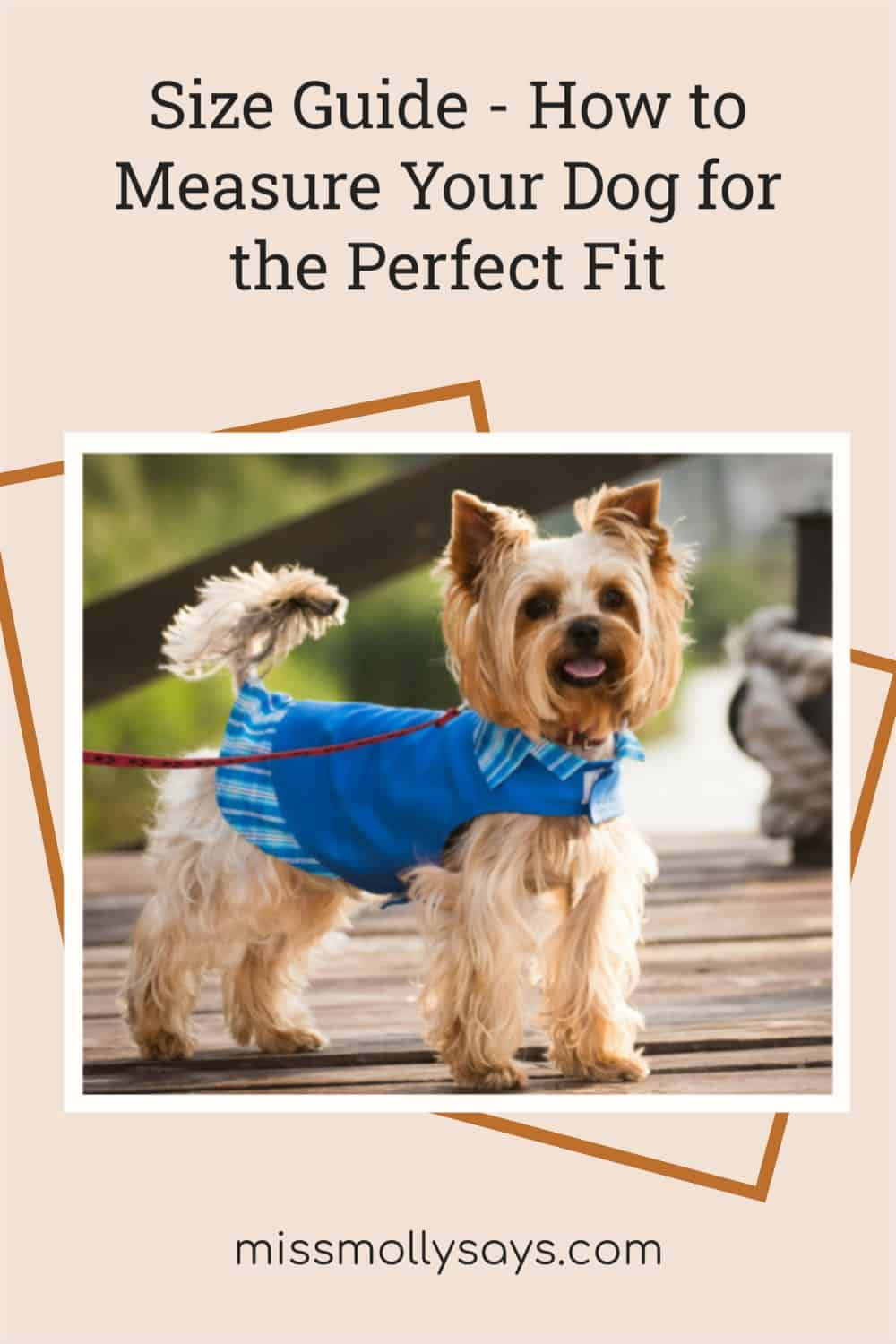 Size Guide Tips for Dogs - Measure Your Dog for the Perfect Fit