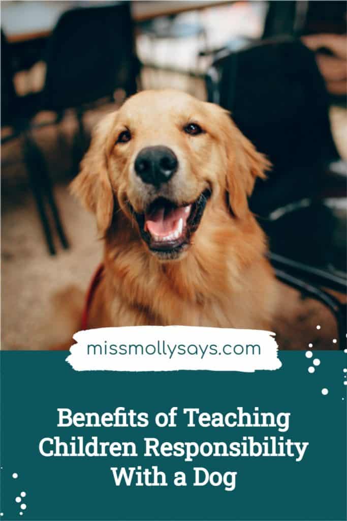 Benefits of Teaching Children Responsibility With a Dog - Miss Molly Says